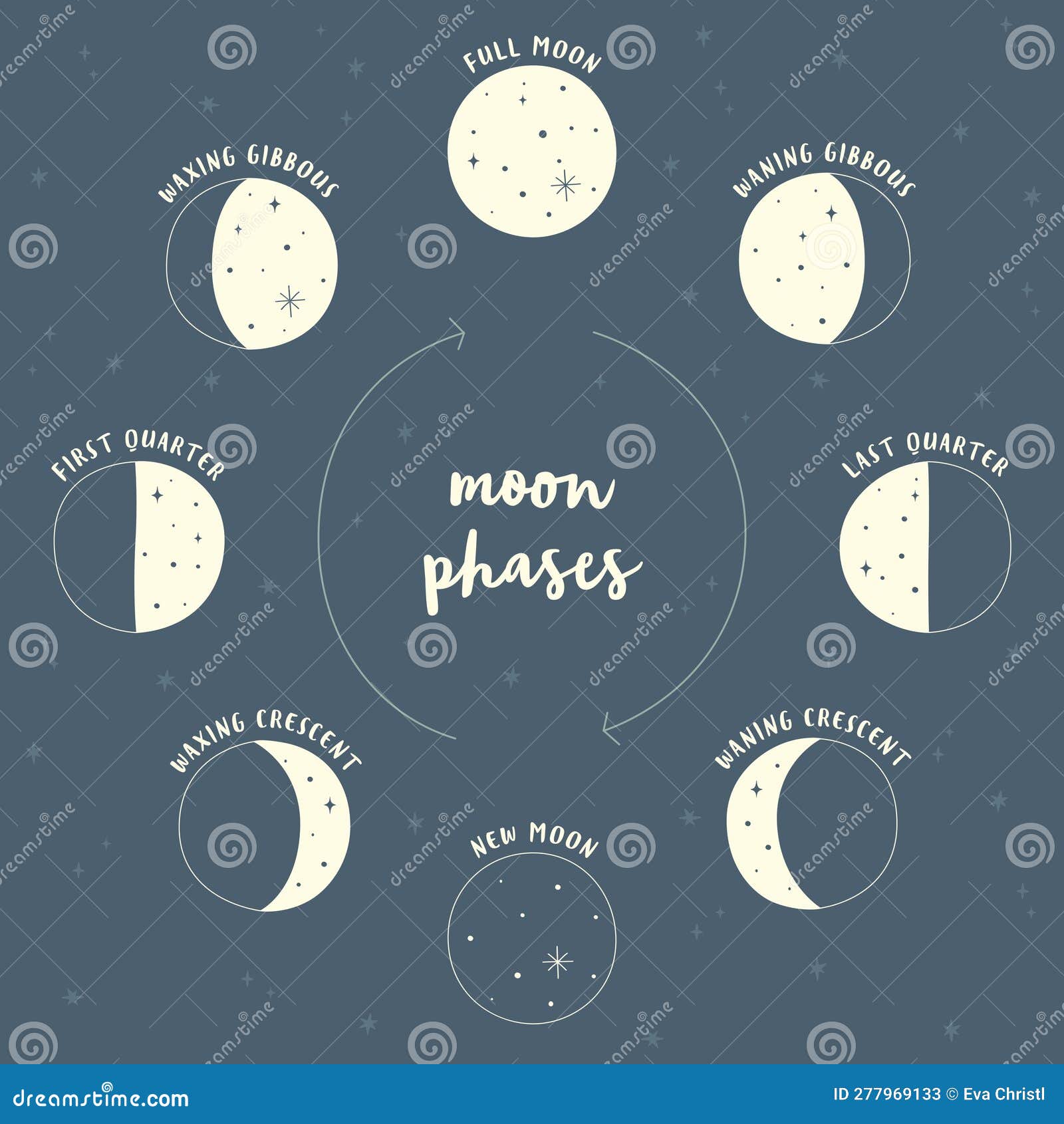 Moonphases_text stock vector. Illustration of shiny - 277969133