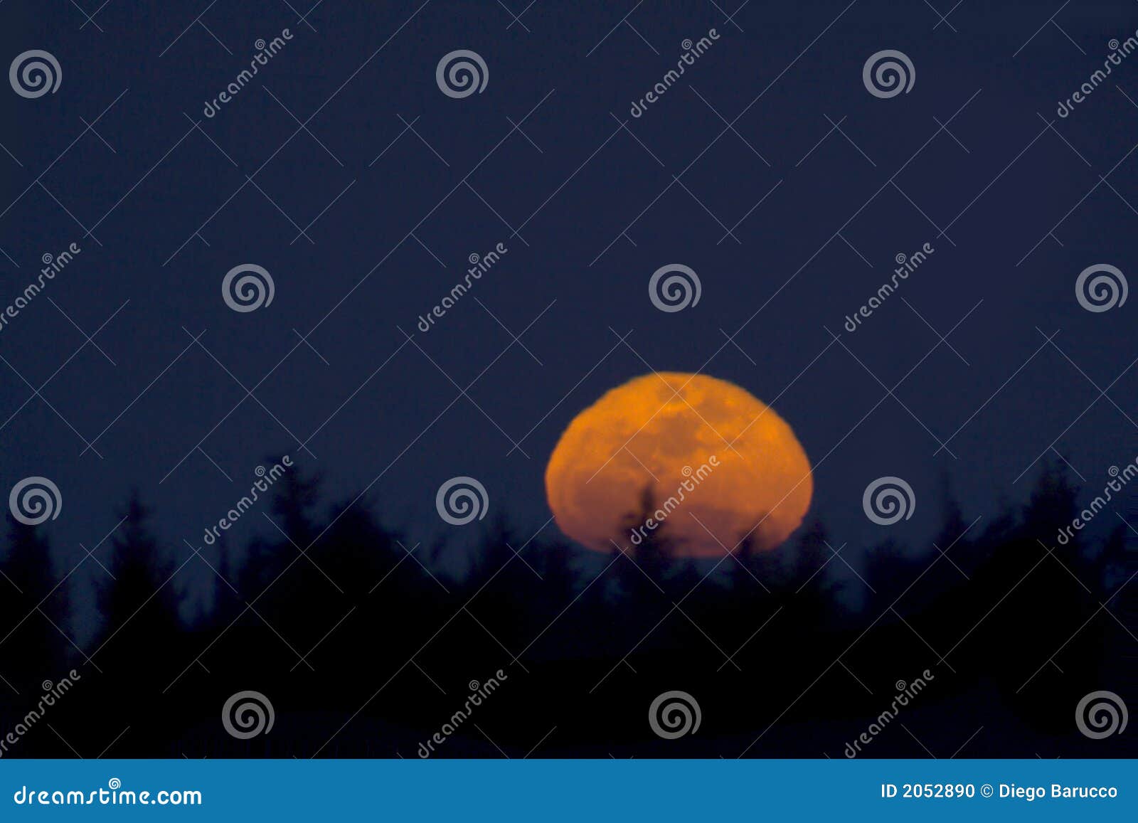 Moonrise stock photo. Image of dawn, tree, horizon, brilliant - 2052890