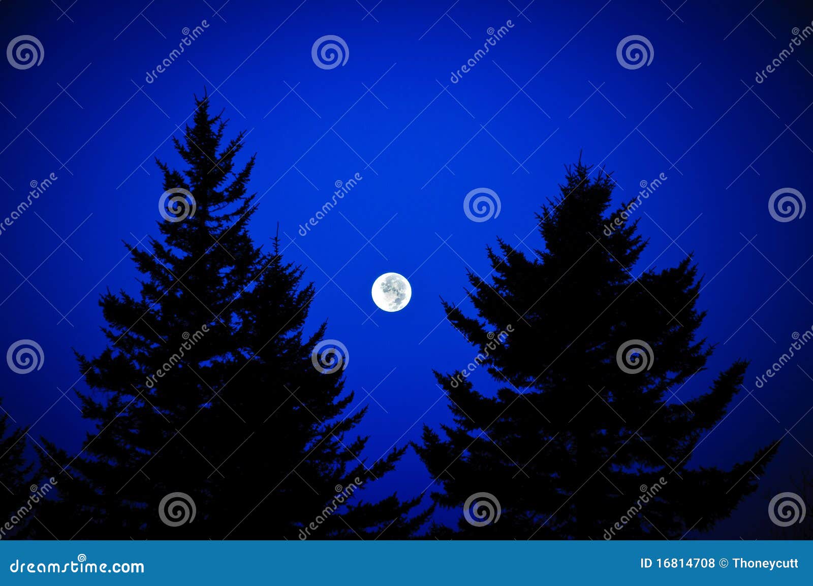 Moonrise on the Blue Ridge Parkway Stock Photo - Image of north ...