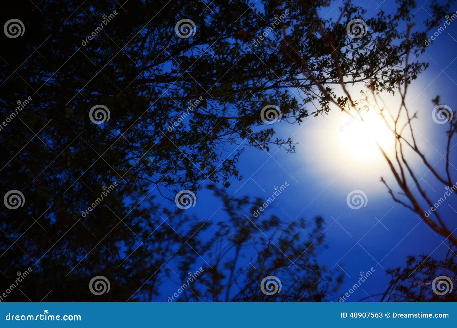 Moonrise stock image. Image of light, future, moonrise - 40907563