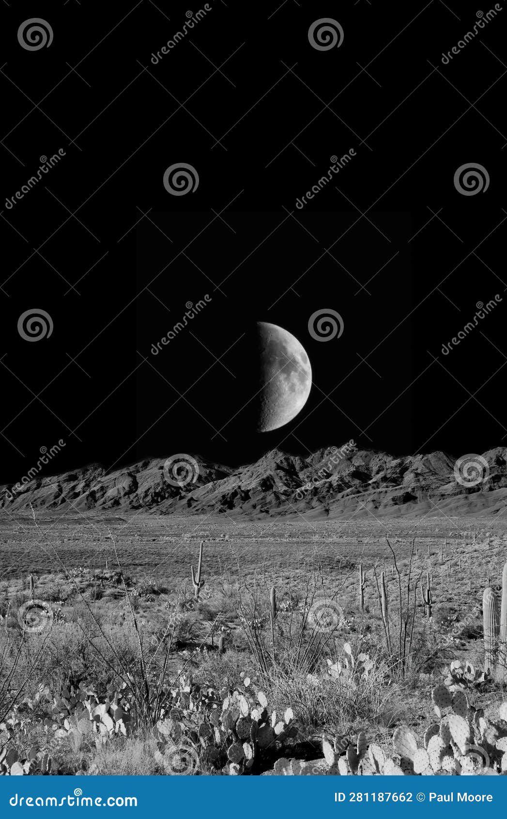 Sonora Desert Arizona Moonrise Stock Photo - Image of sunset ...