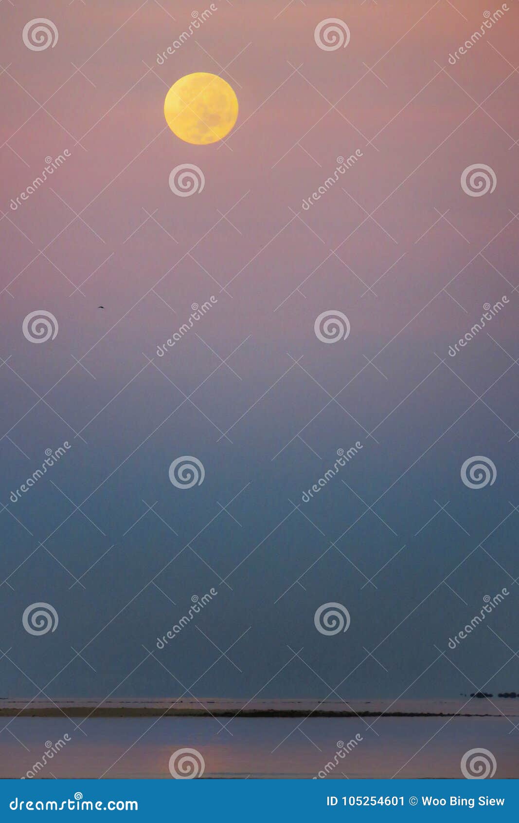 Moonset with pink sky stock image. Image of phenomenon - 105254601