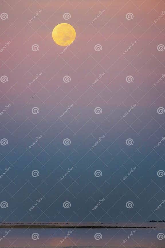 Moonset with pink sky stock image. Image of phenomenon - 105254601