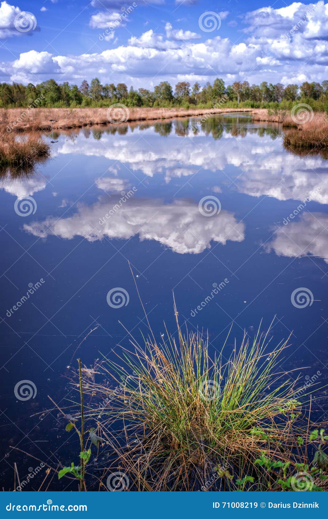 Moor Landscape With Bridge, Trees And Mountains In The Background Stock ...