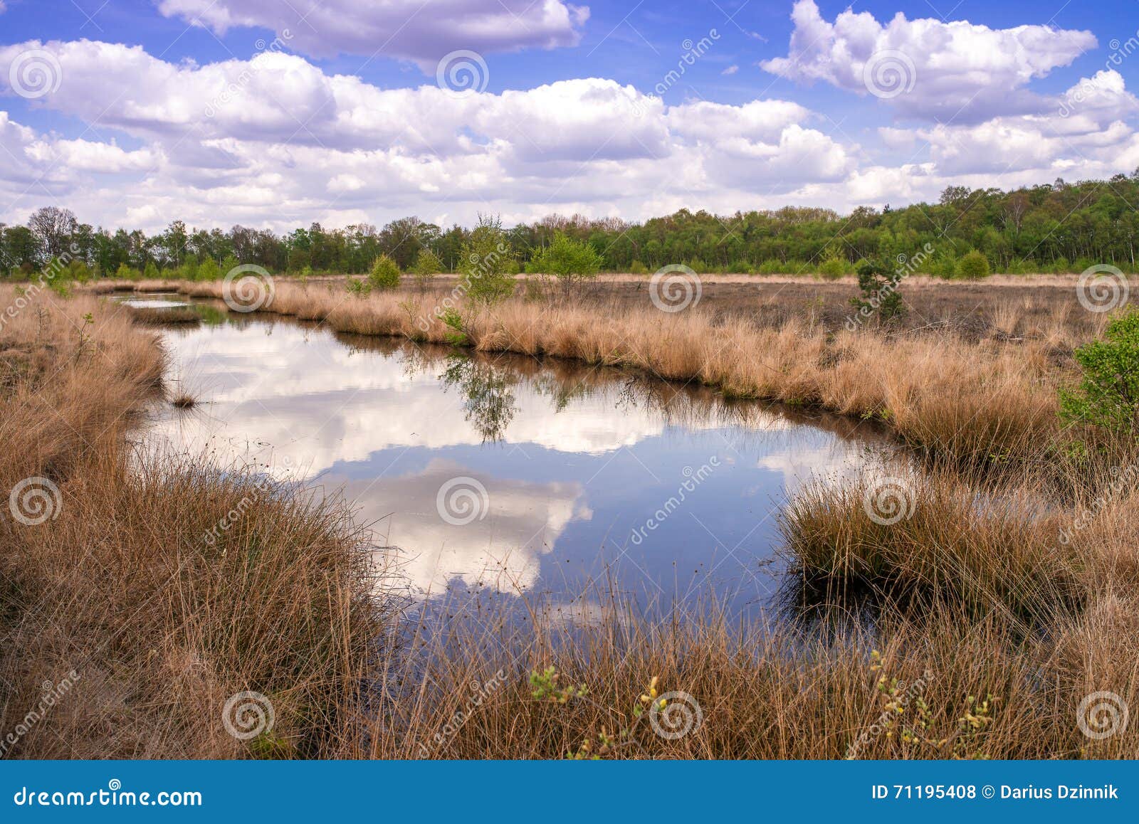 Moor landscape stock photo. Image of moors, national - 71195408