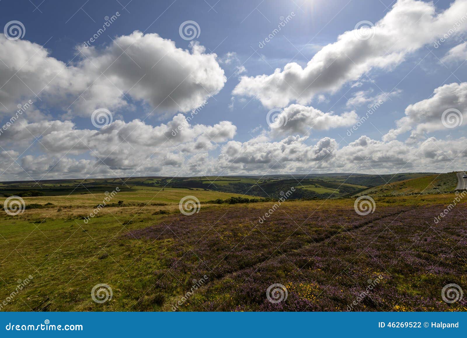 Moor landscape, Exmoor stock photo. Image of united, country - 46269522