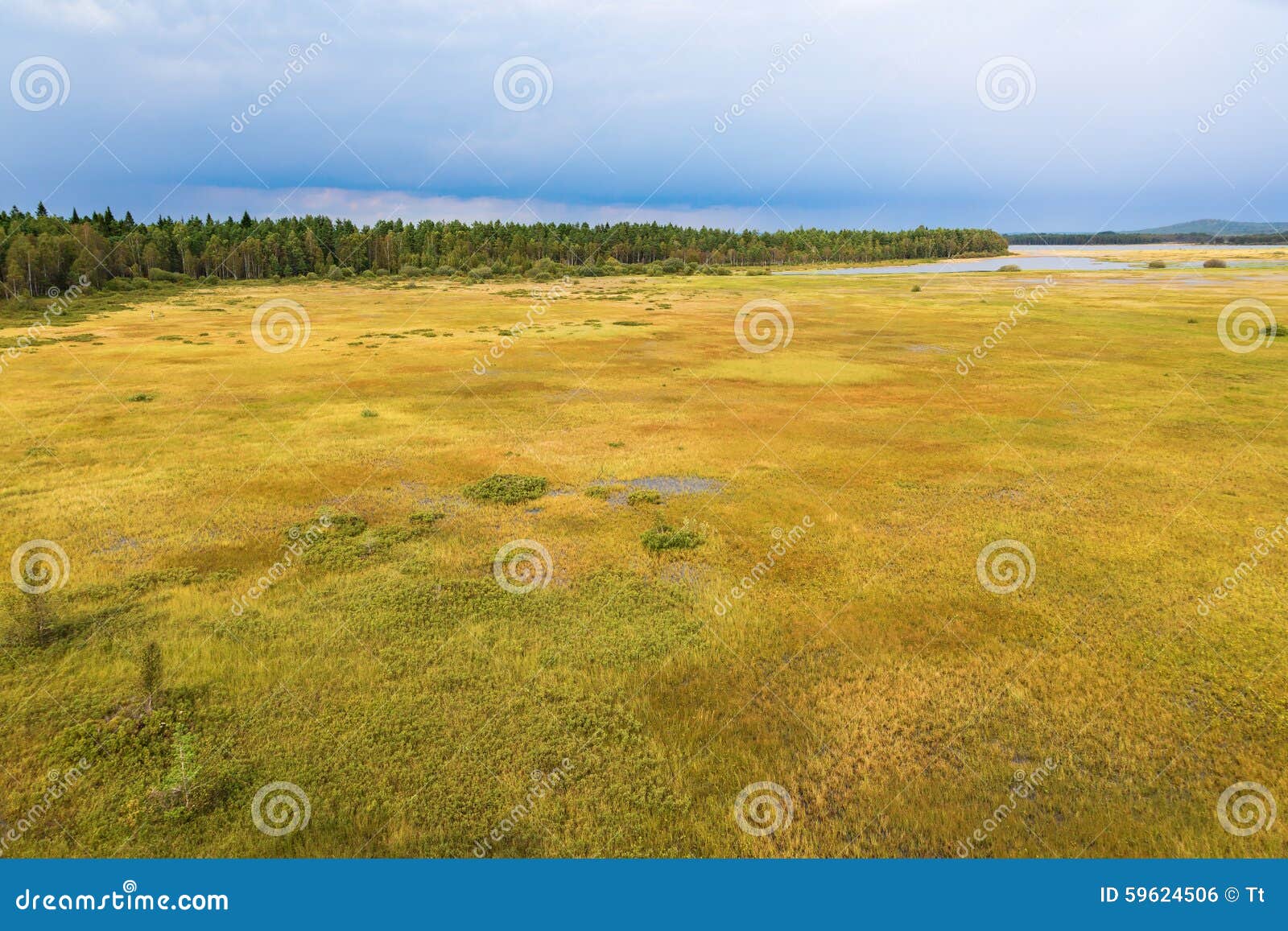 Moor Landscape With Bridge, Trees And Mountains In The Background Stock ...