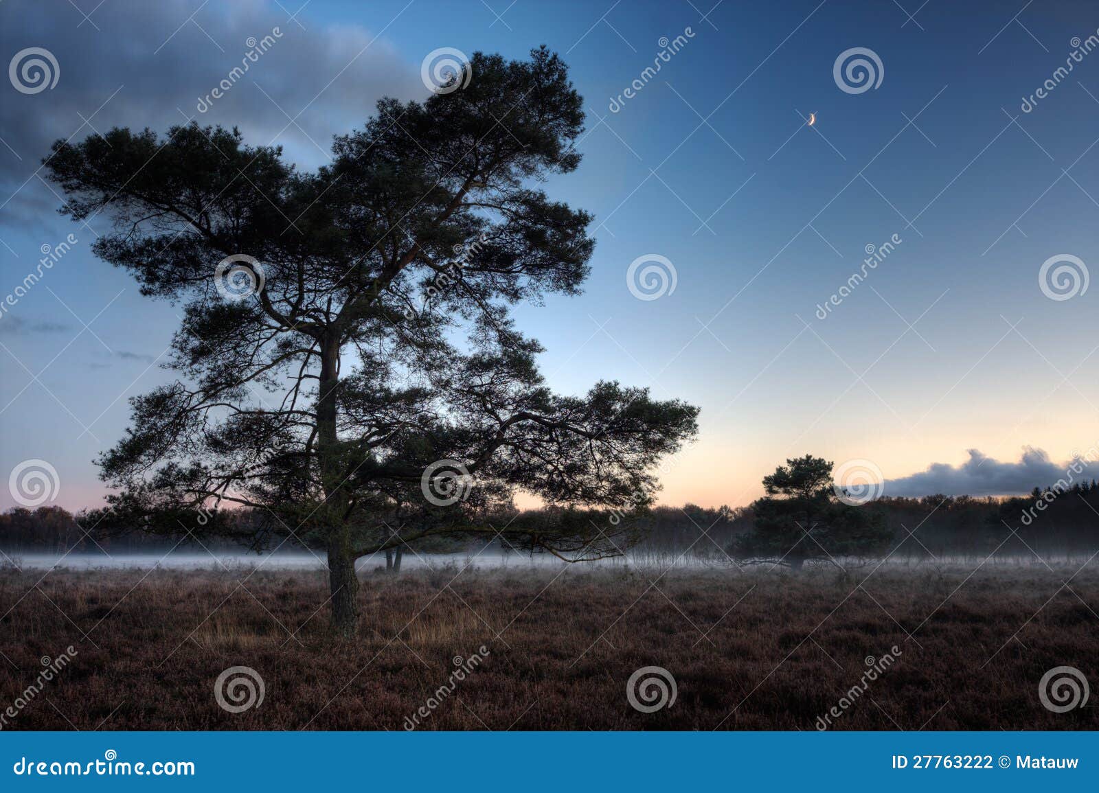 Moor at nightfall stock photo. Image of dusk, field, sunset - 27763222