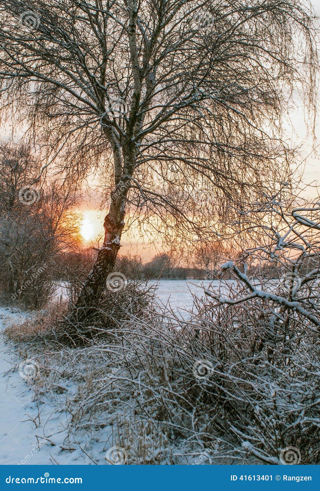 Moor in winter stock image. Image of calm, hide, cold - 41613401