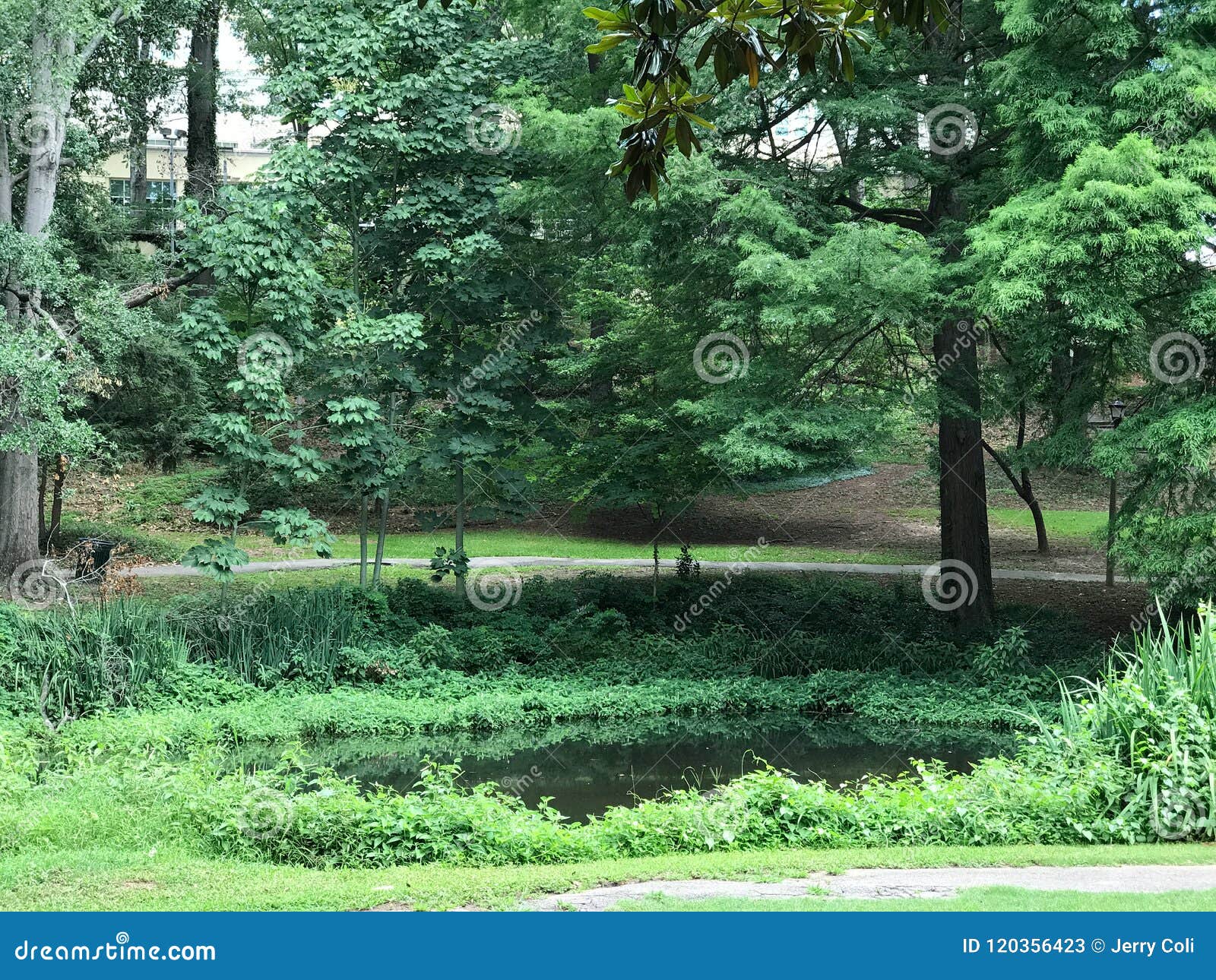 Moore Gardens, Columbia, South Carolina Editorial Stock Photo - Image ...