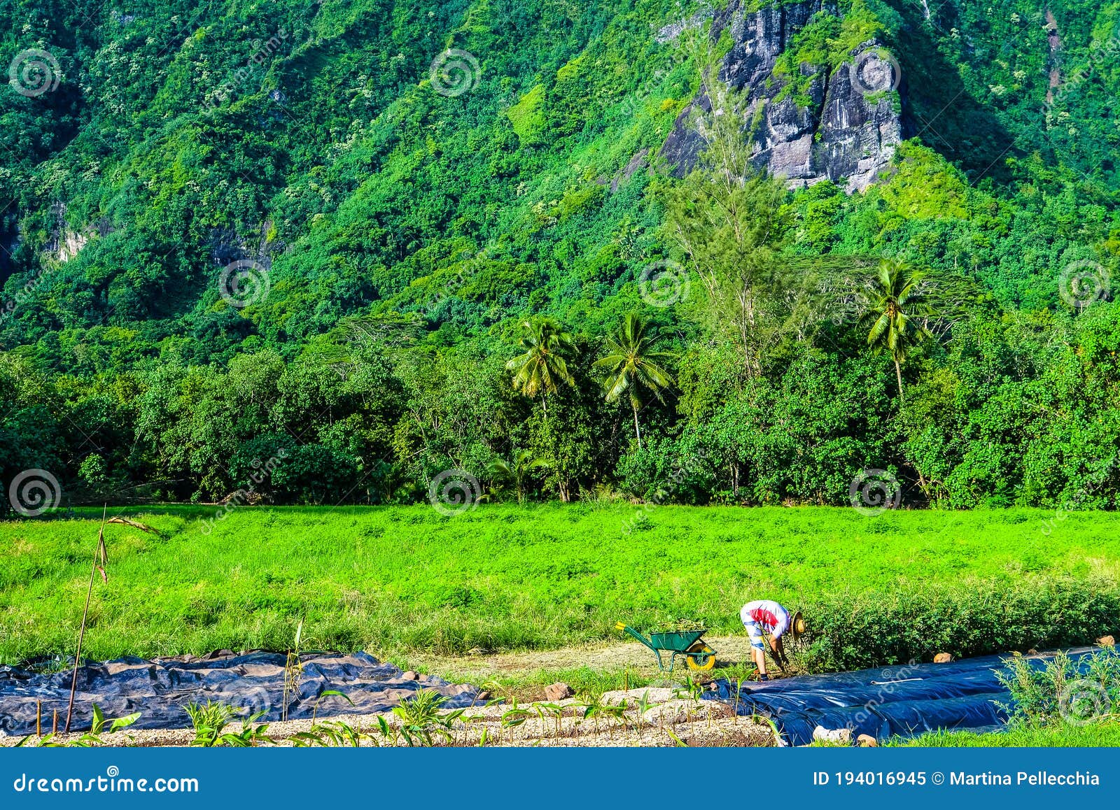 Moorea, French Polynesia: 09/03/2018: The Little Houses On The Beach ...
