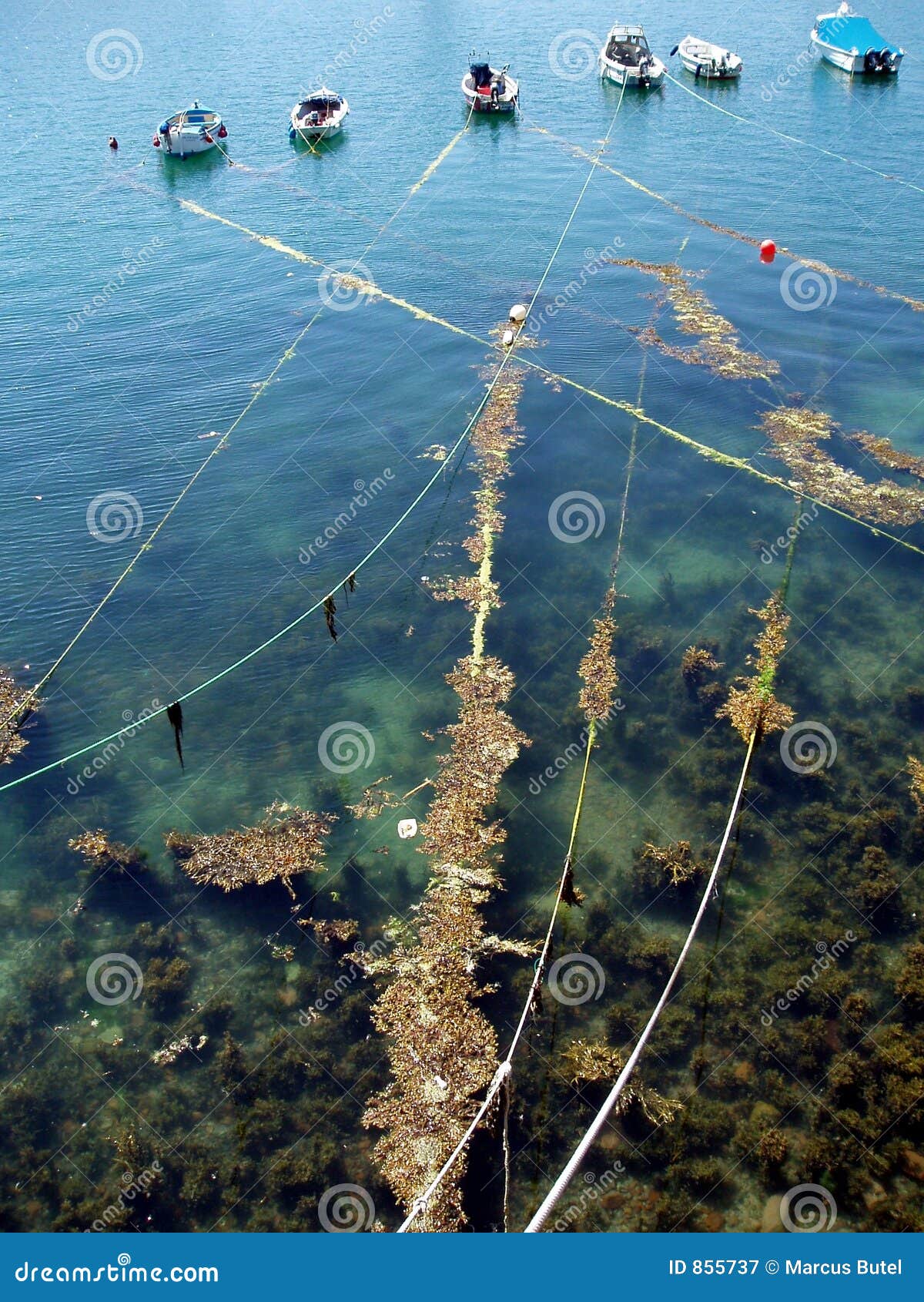 Moored Boats stock image. Image of mooring, water, rope - 855737