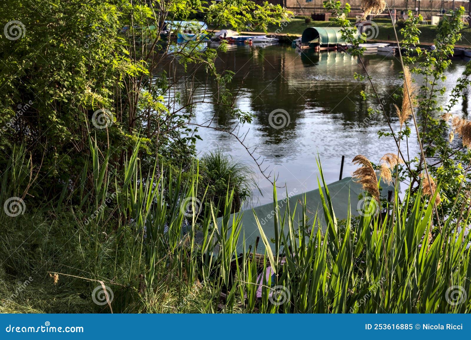 Mooring in an Inlet of a Lake in the Countryside Stock Image - Image of ...