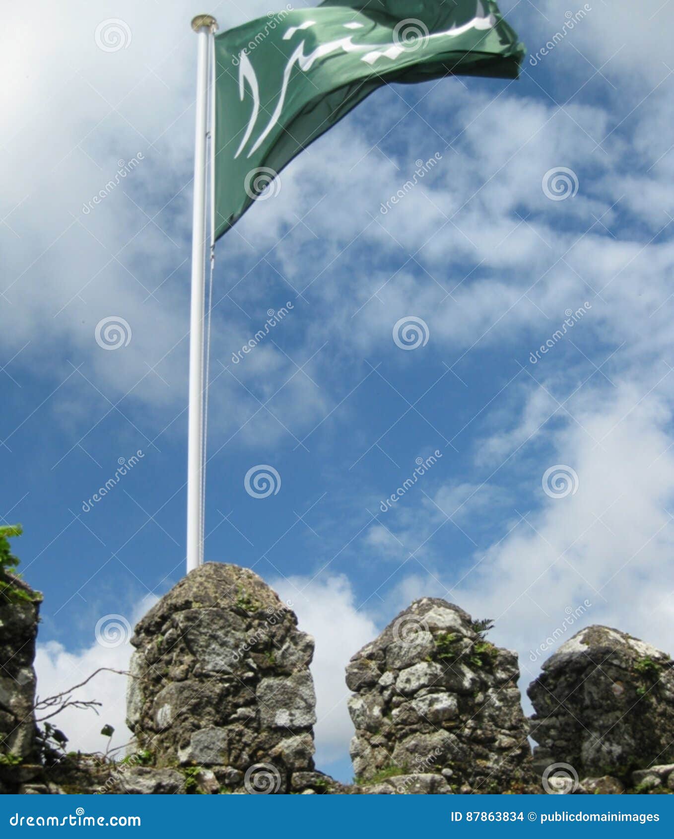 Moorish-flag Picture. Image: 87863834