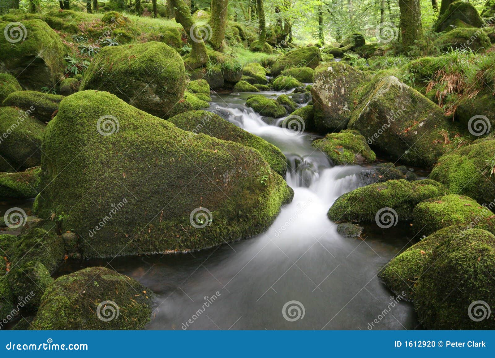 Moorland stream stock photo. Image of mountain, country - 1612920