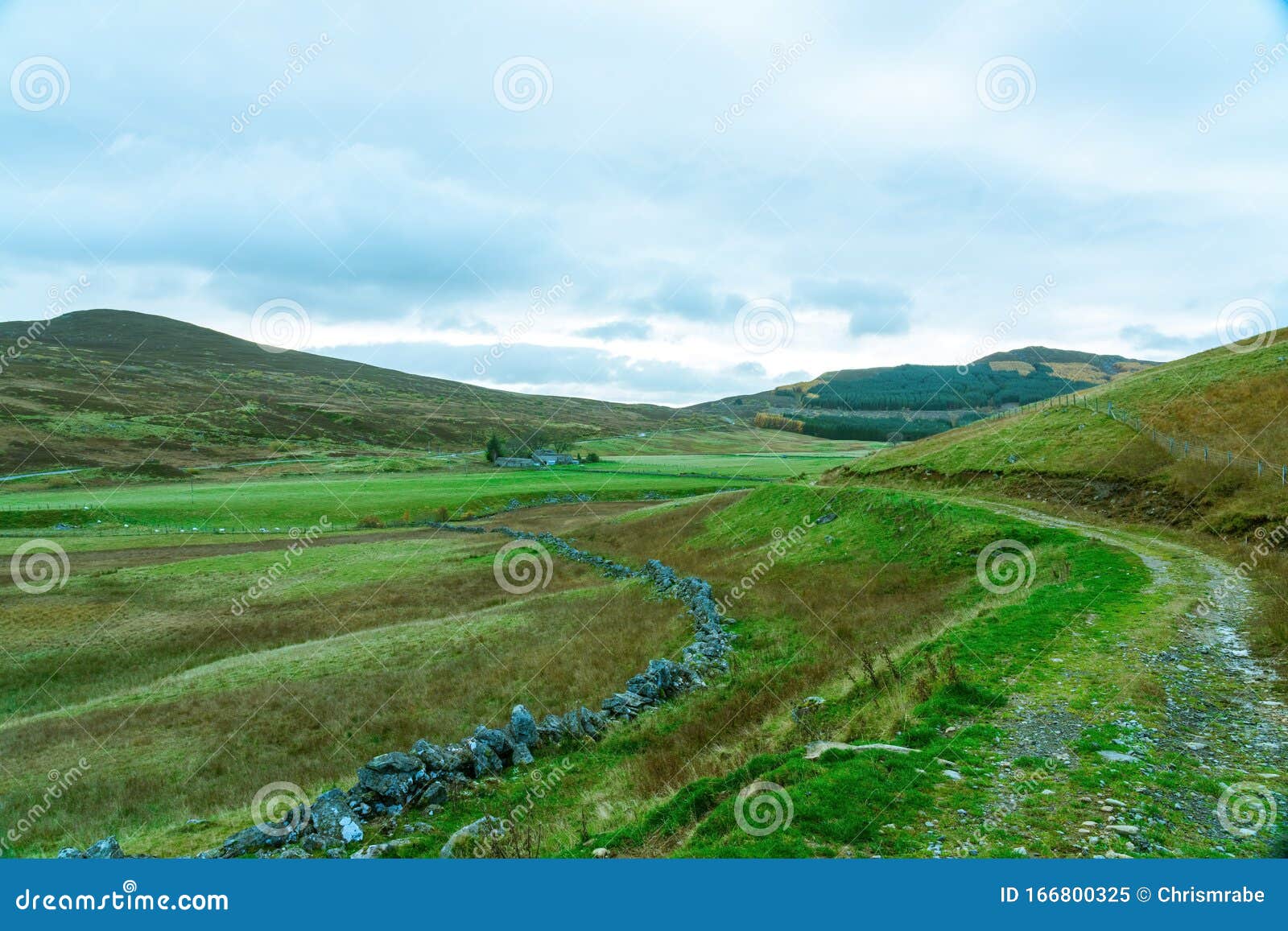Moors in Perthshire, Scotland in Late Autumn Stock Image - Image of ...