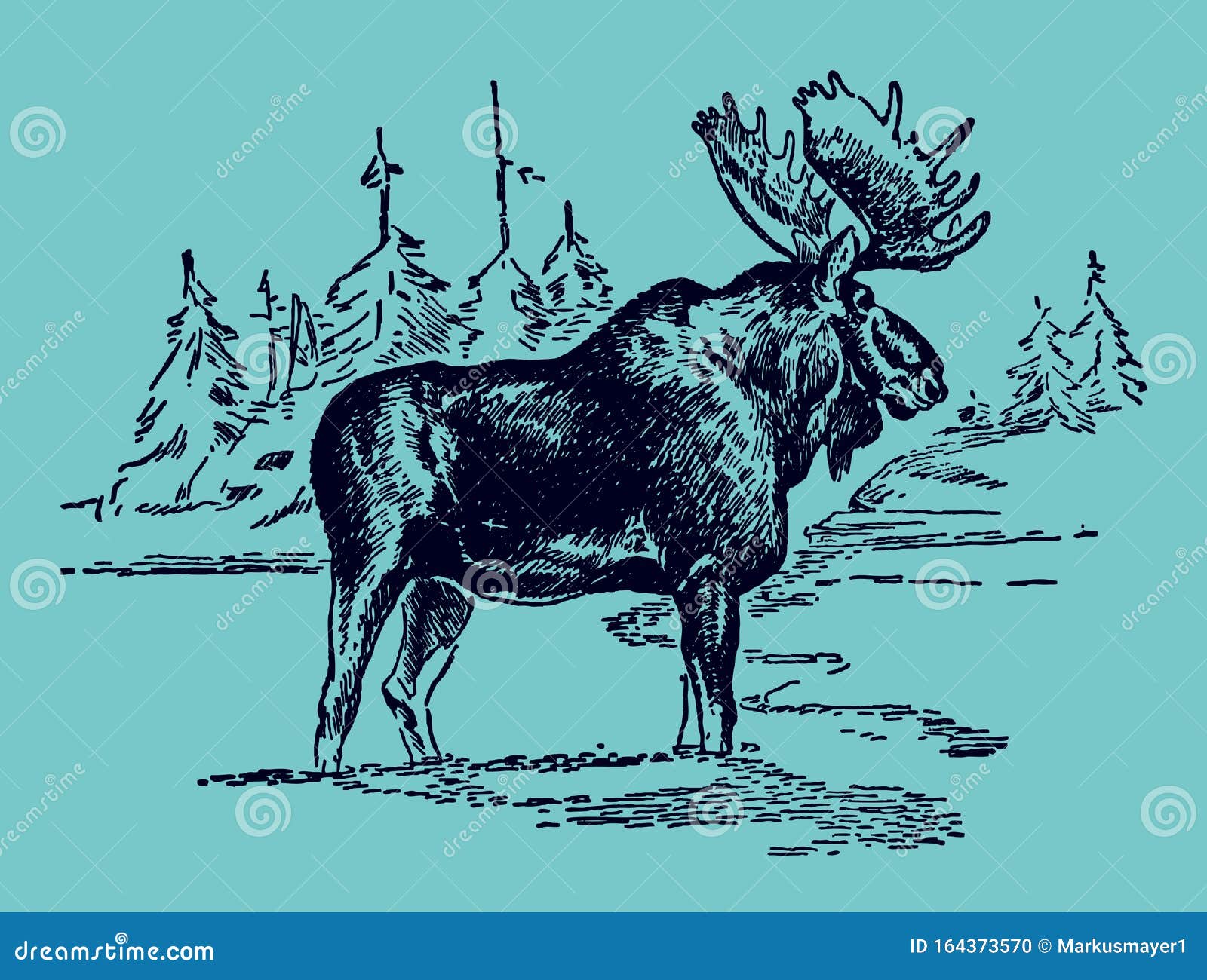 Moose Or Elk, Alces Alces. Beautiful Animal In The Nature Habitat Side ...
