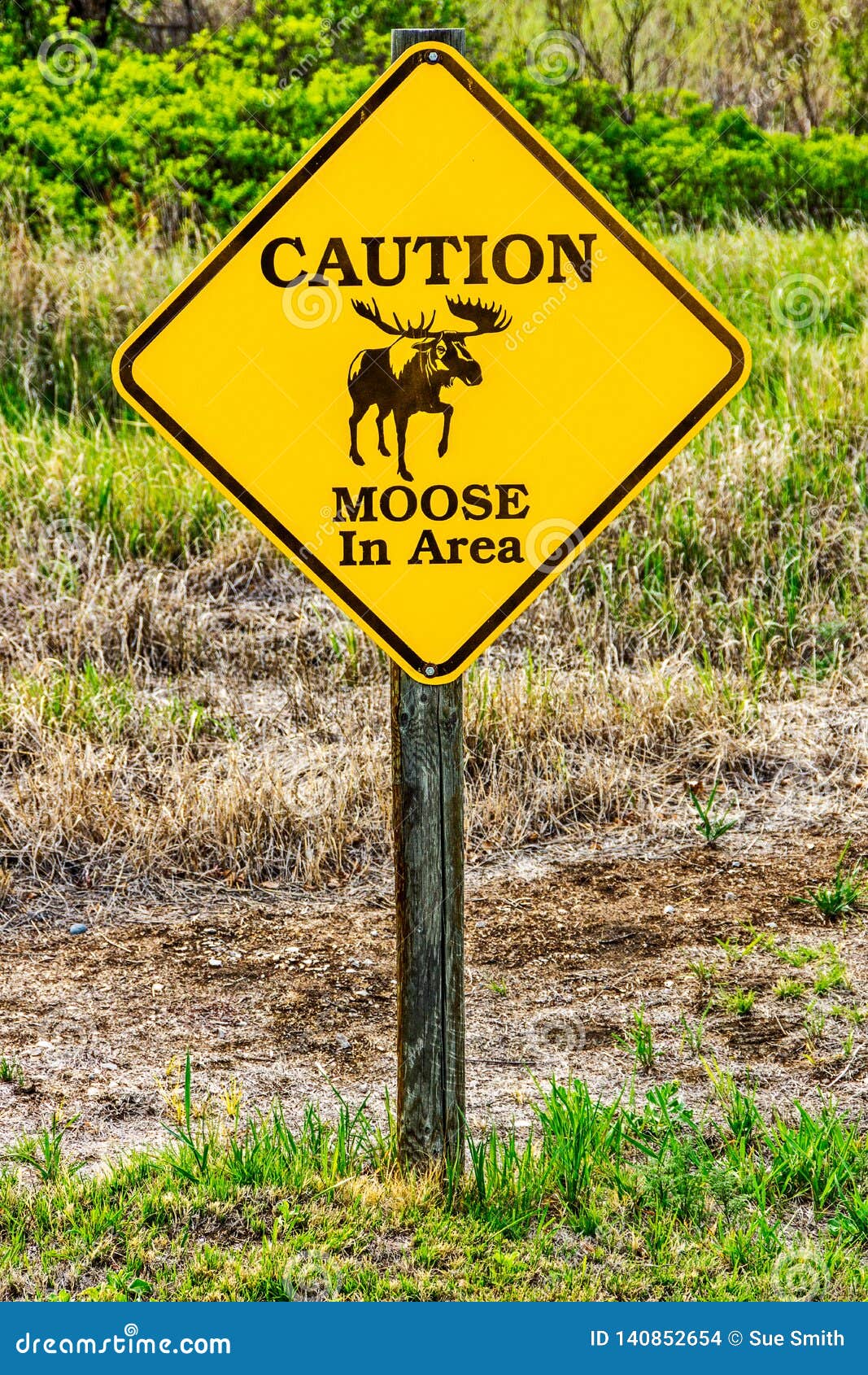 Moose in Area Sign stock photo. Image of area, yellow - 140852654