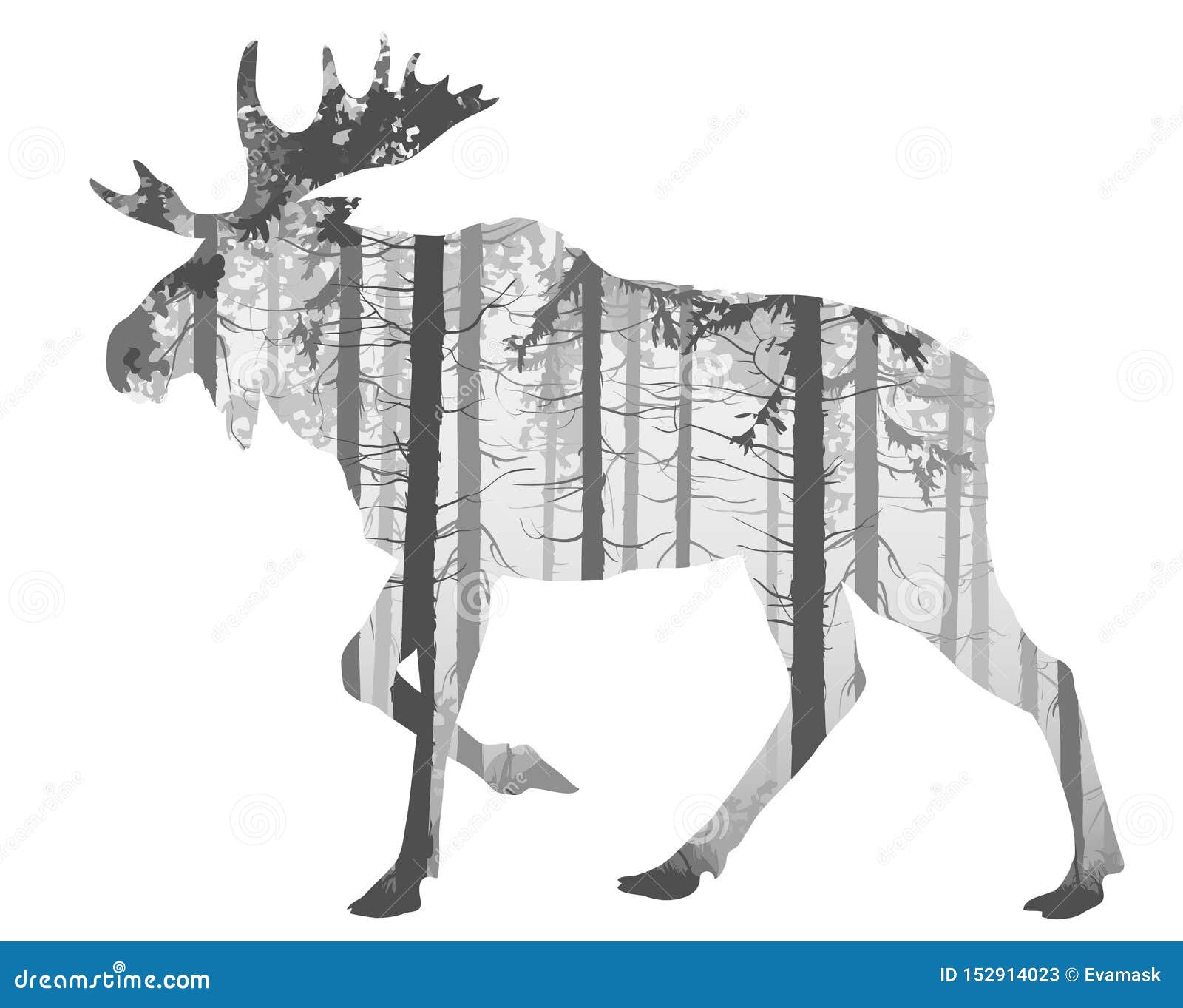 Moose Black And White Drawing