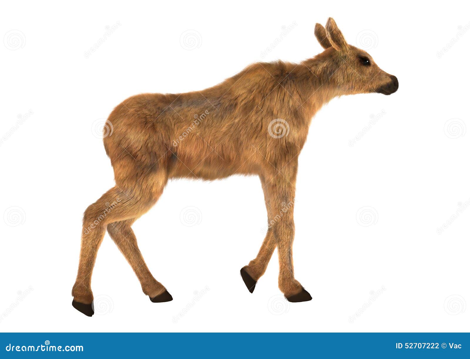 Moose, Moose Cow Calf - Mountain Landscape, Wildlife Stencils ...