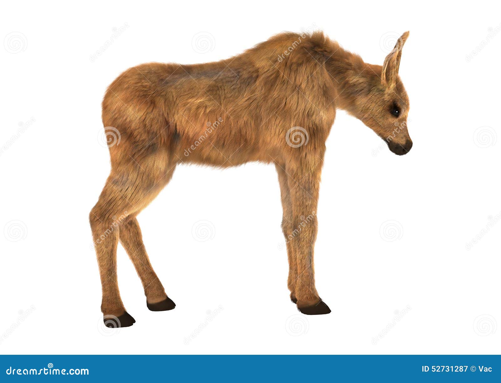 Moose, Moose Cow Calf - Mountain Landscape, Wildlife Stencils ...