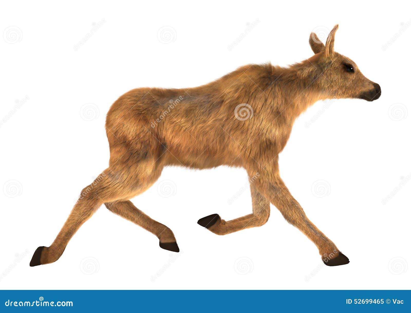 Moose, Moose Cow Calf - Mountain Landscape, Wildlife Stencils ...