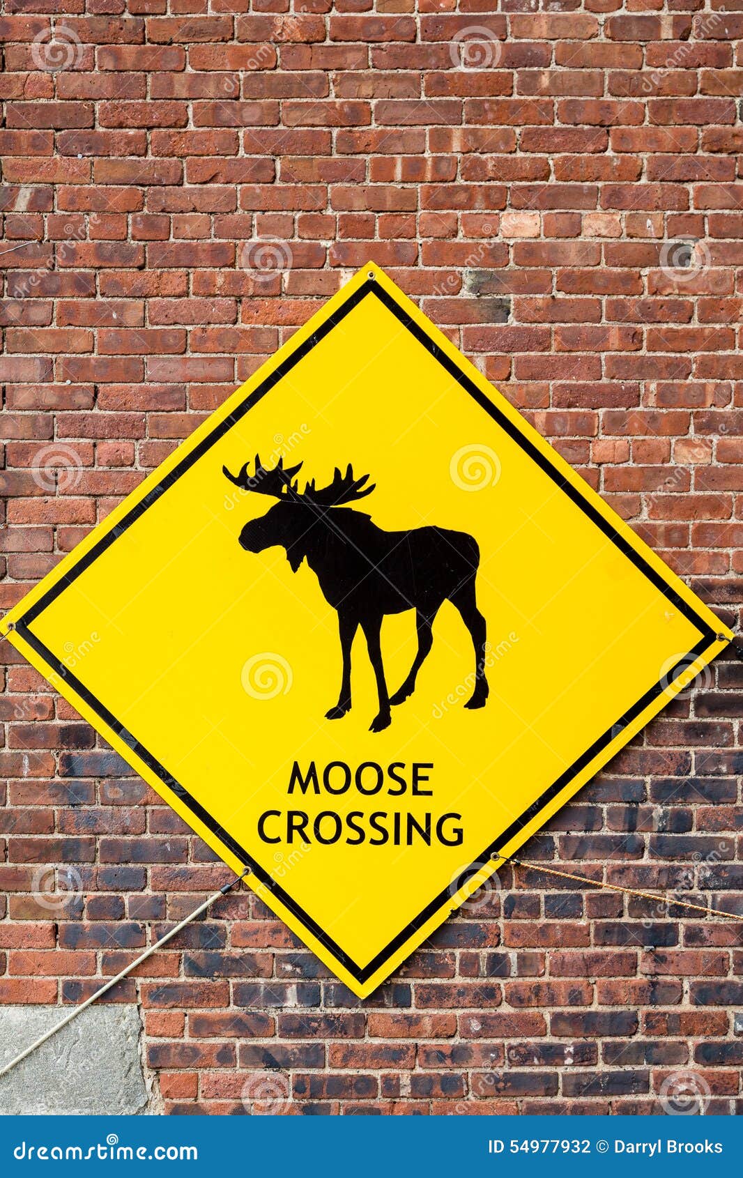 Moose Crossing Sign on Brick Wall Stock Photo - Image of information ...