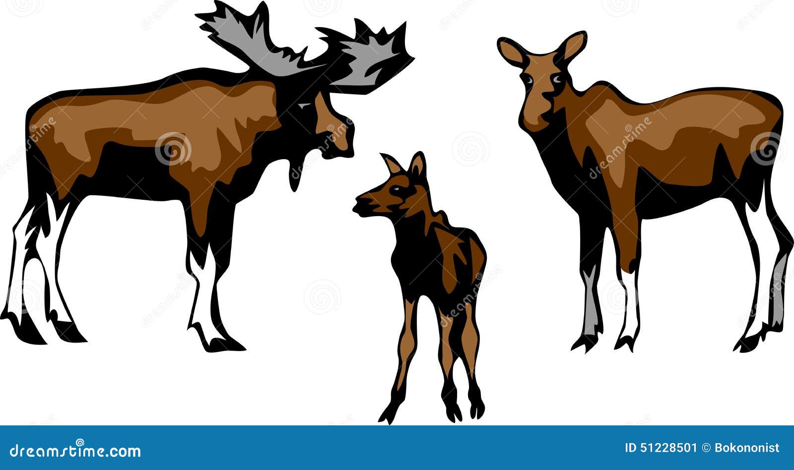 Moose stock vector. Illustration of antlers, calf, moose - 51228501