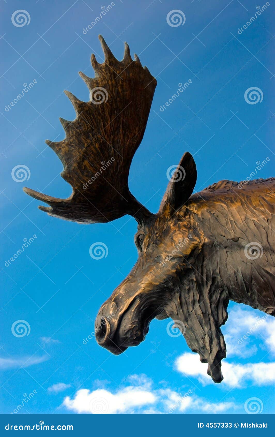 Moose Head stock image. Image of horn, face, moose, metal - 4557333