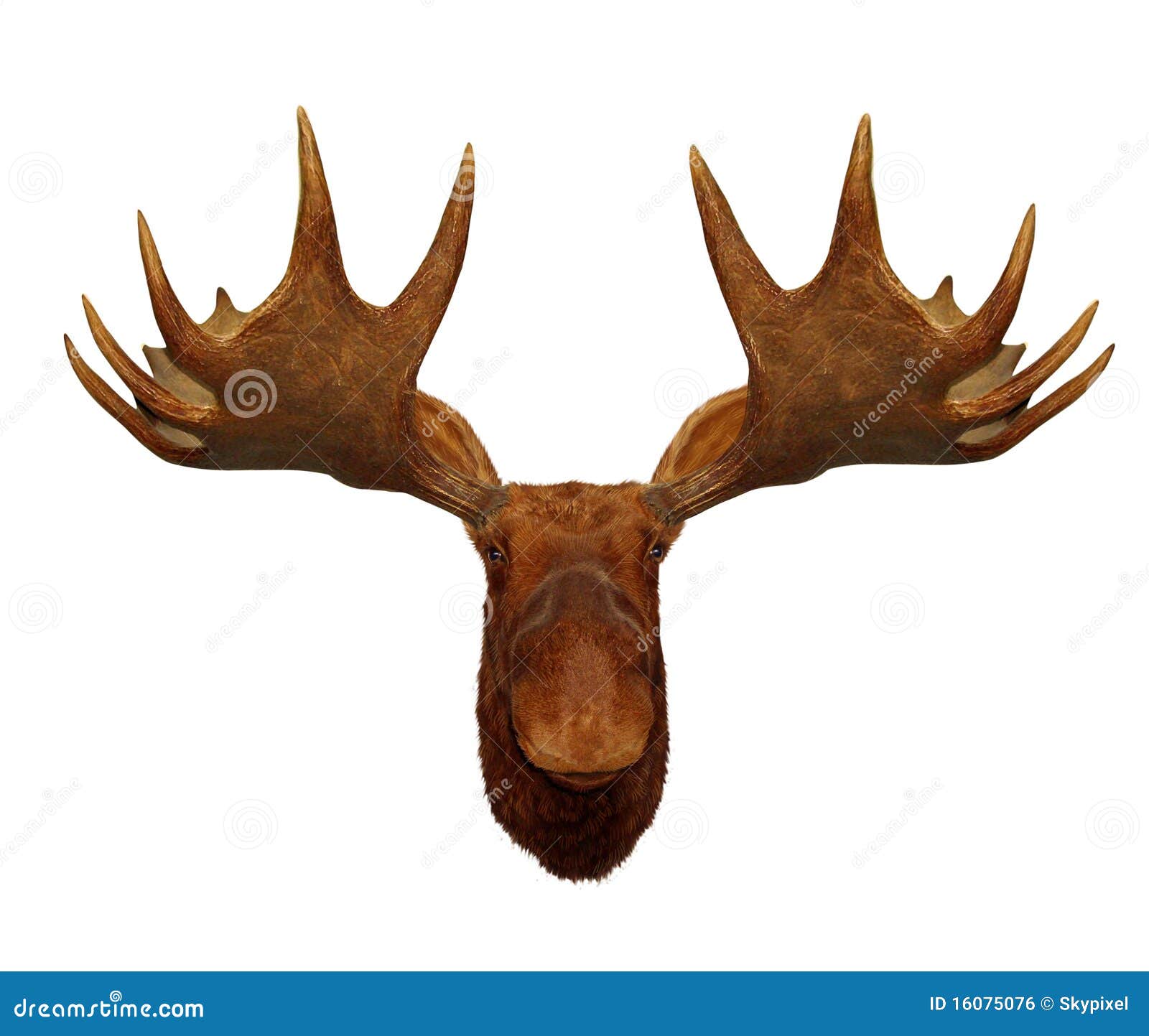 Moose Head Profile Vector Style Flat | CartoonDealer.com #77407087