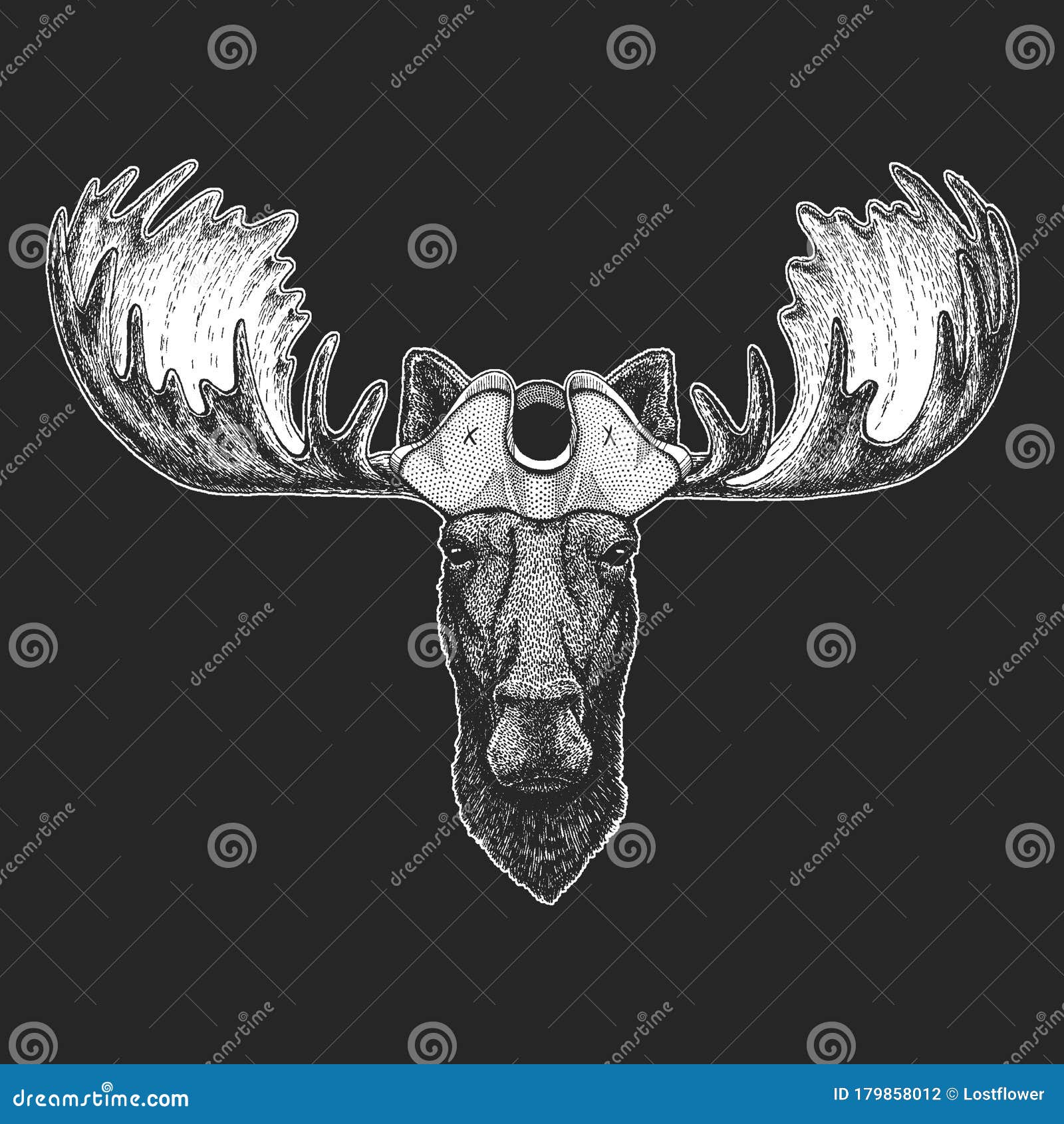 Moose Head. Pirate Cocked Hat. Portrait of Funny Animal. Stock Vector ...