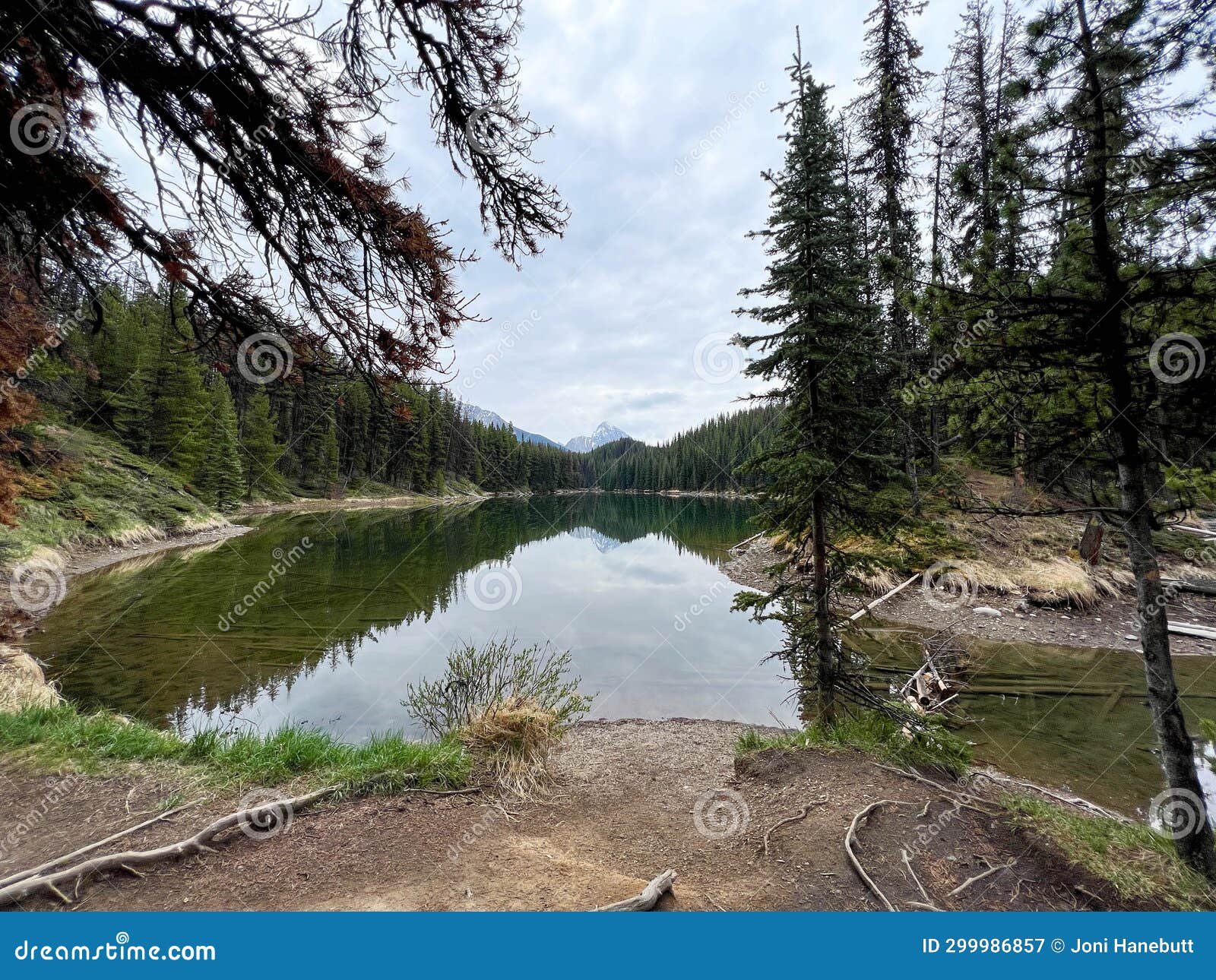 Moose Lake in Jasper National Park in Alberta, Canada Stock Image ...