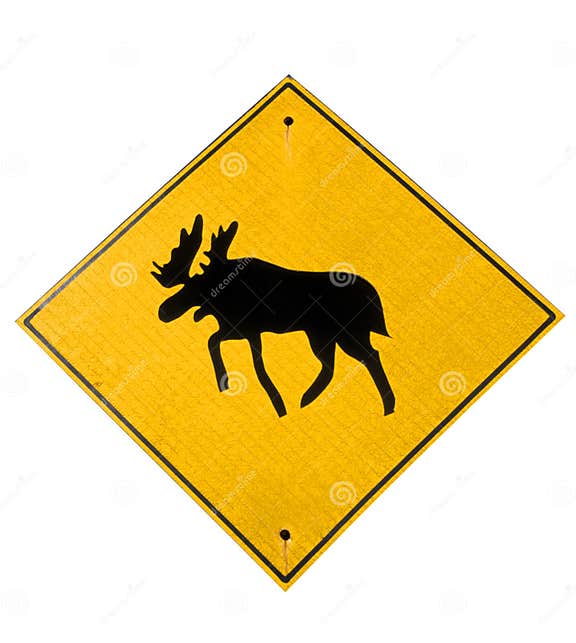 Moose traffic sign stock image. Image of symbol, road - 3642225