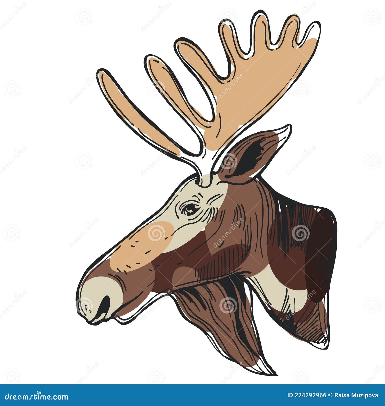 Moose. Vector illustration stock vector. Illustration of graphic ...
