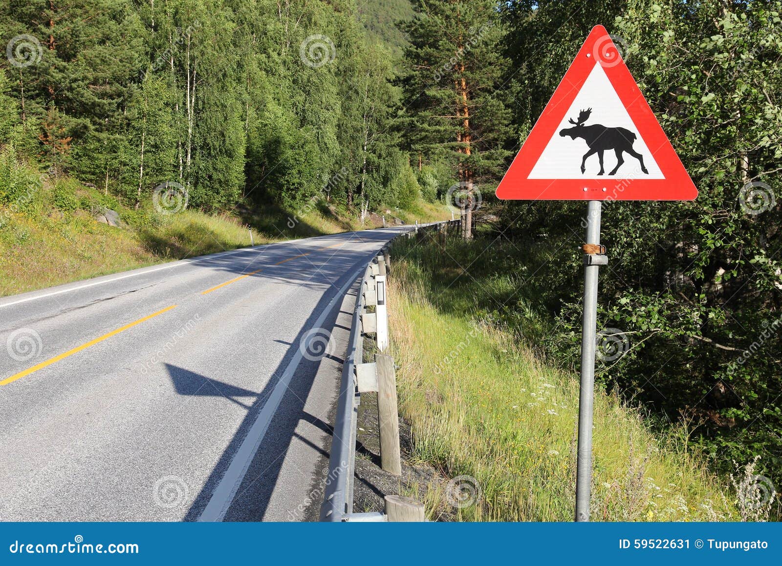 Moose warning stock image. Image of view, sightseeing - 59522631