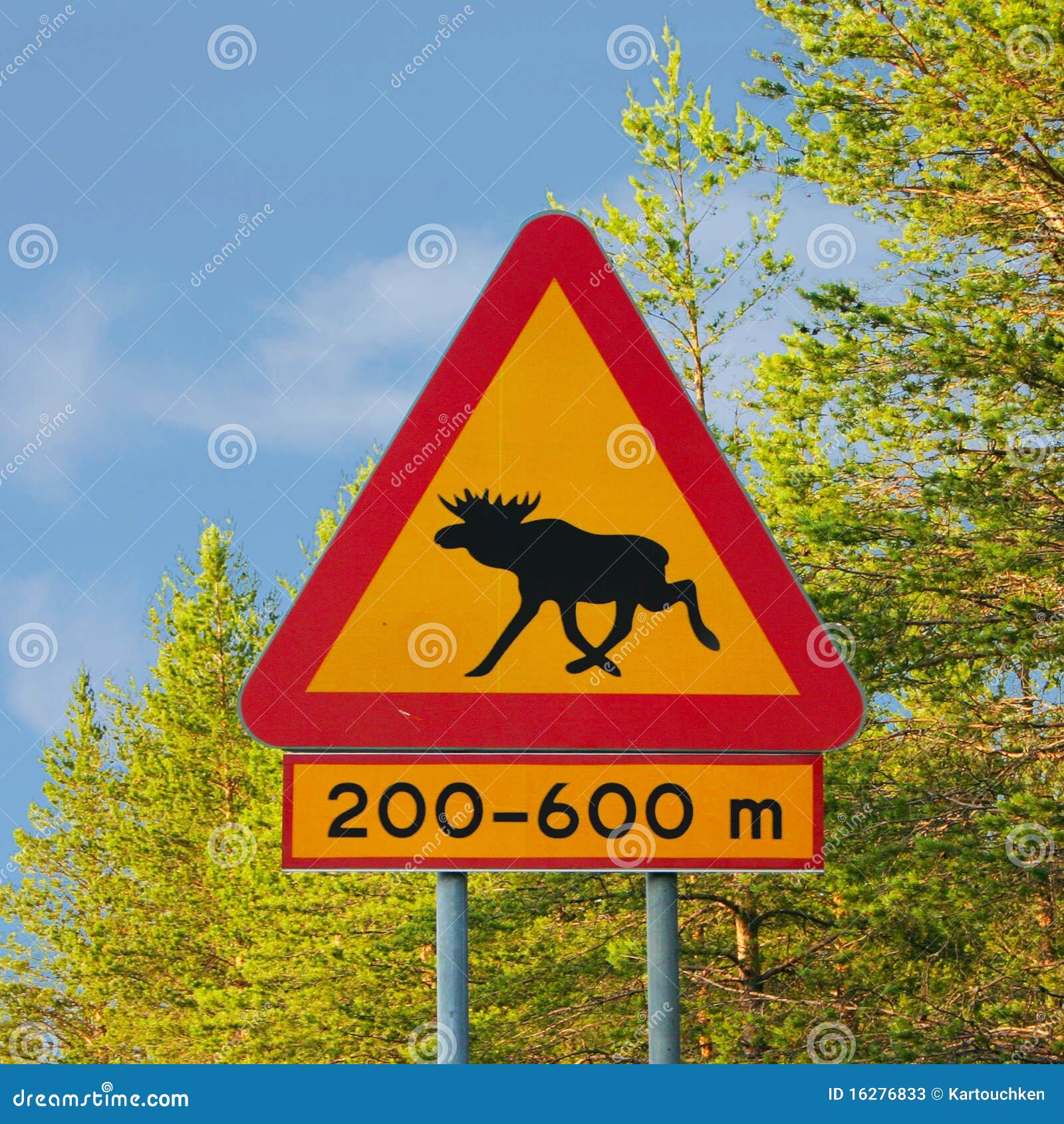 Moose Warning Traffic Sign stock image. Image of signal - 16276833