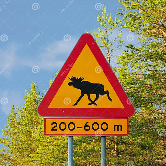 Moose Warning Traffic Sign stock image. Image of signal - 16276833
