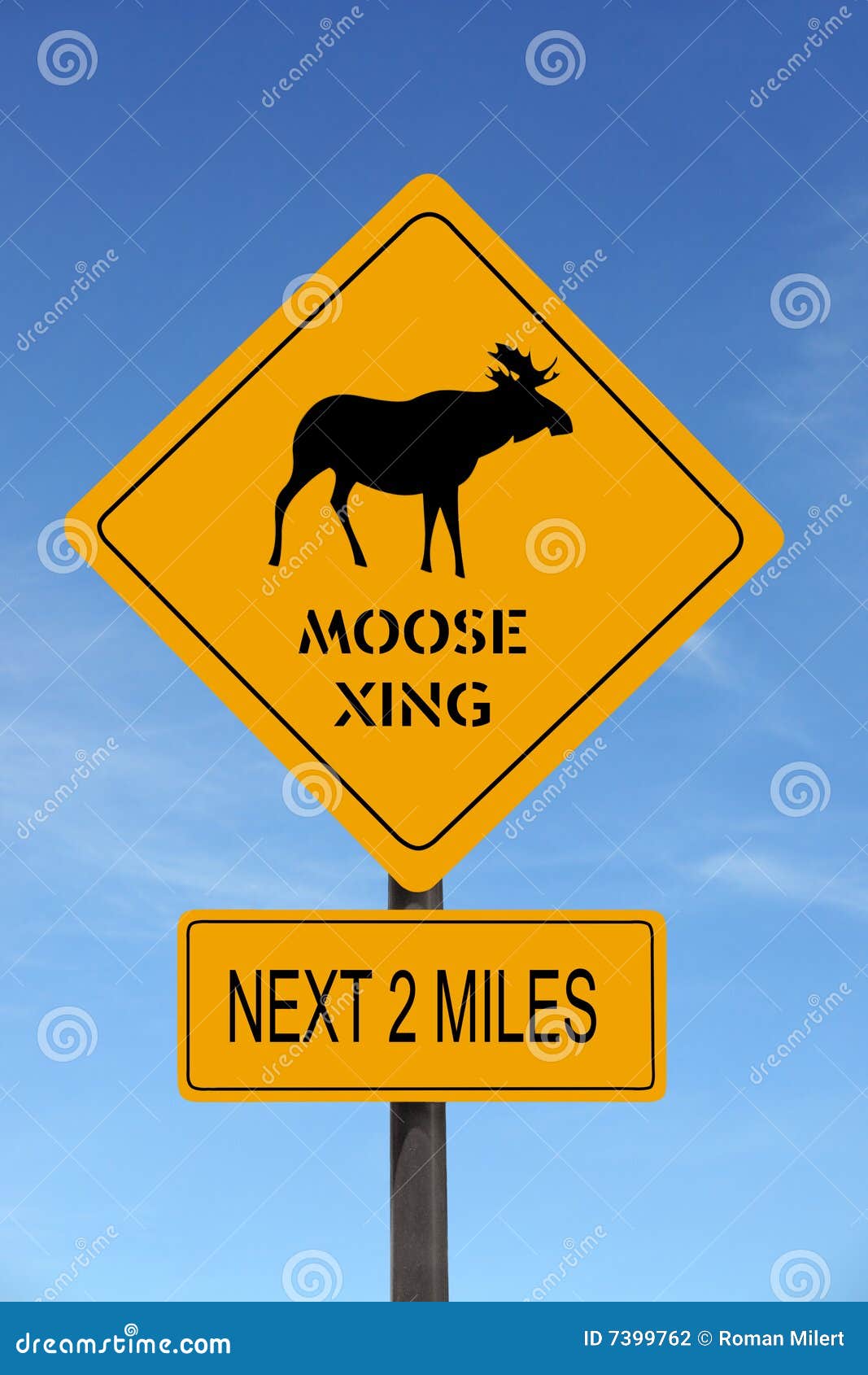 Moose Xing Warning Roadsign Stock Photo - Image of crossing, roadsign ...