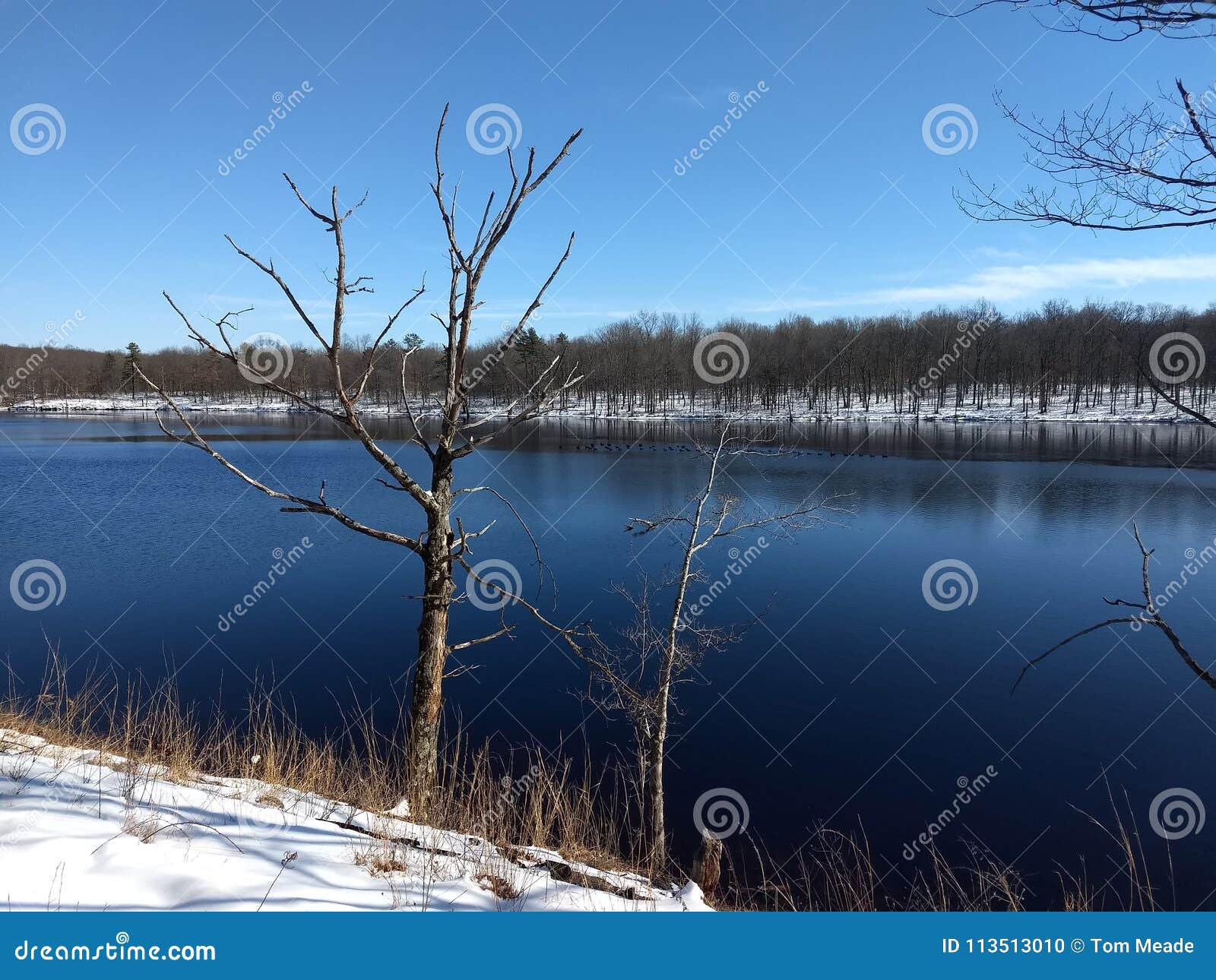 Moosehead Lake after Light Snow Stock Photo - Image of moosehead, lake ...