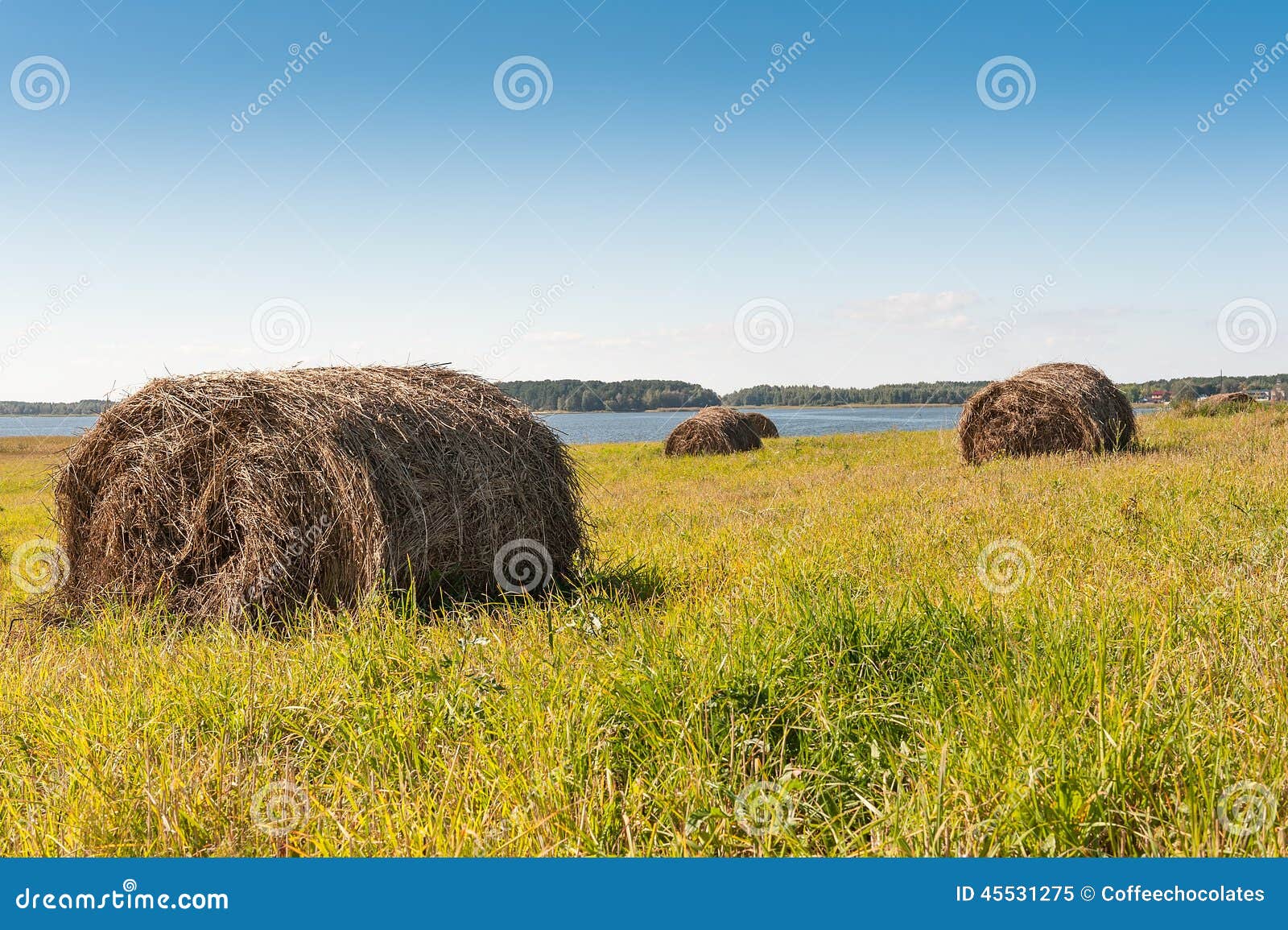 Mop harvested hay stock image. Image of straw, nature - 45531275