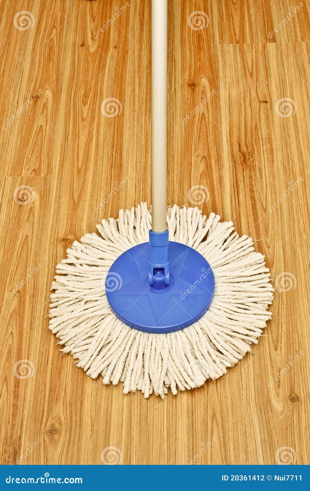 A mop in modern style stock photo. Image of laminate - 20361412