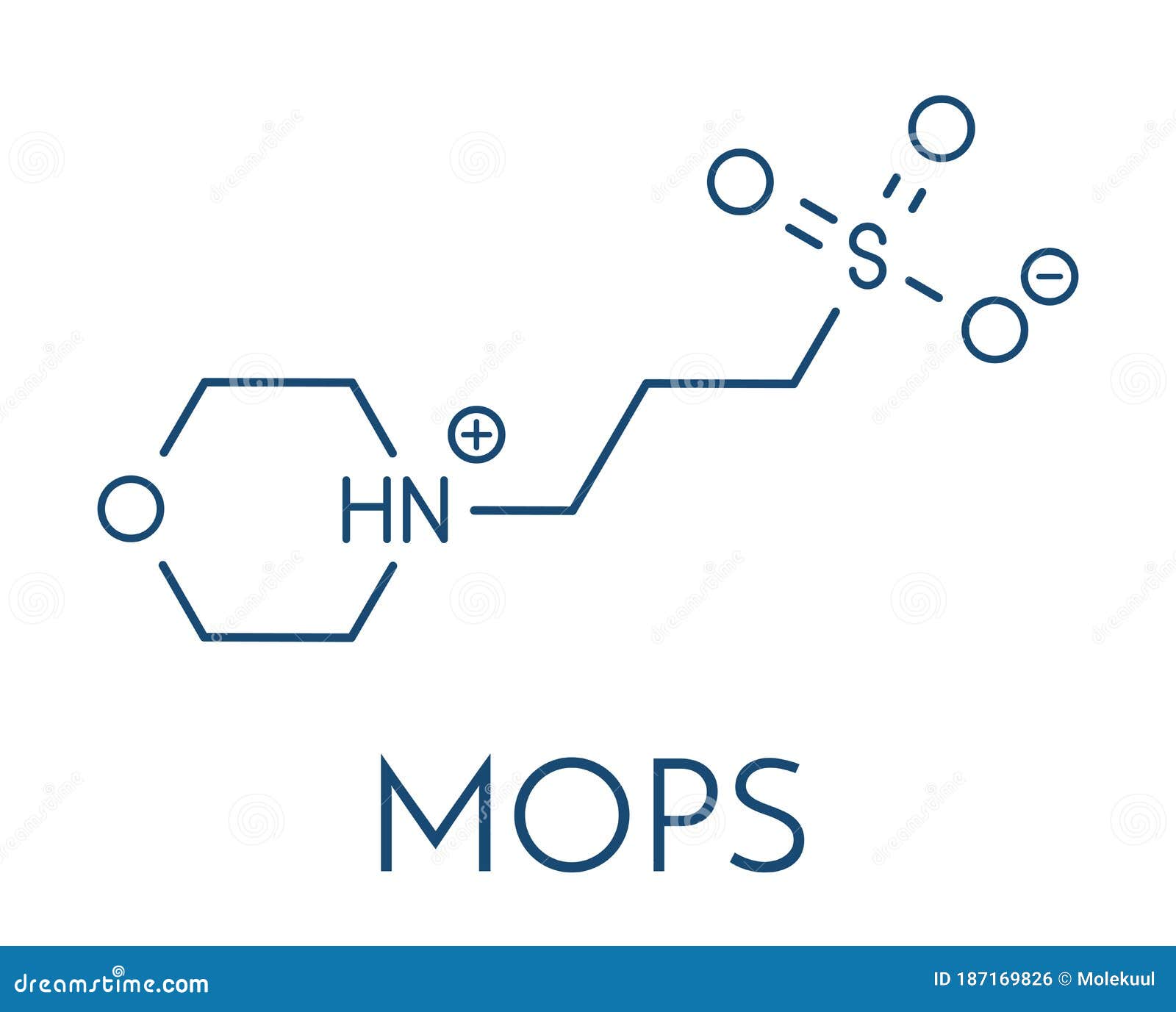 MOPS Buffering Agent Molecule. Skeletal Formula. Stock Vector ...