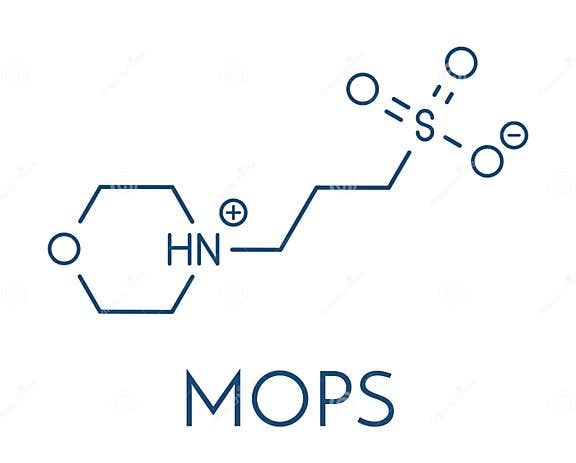 MOPS Buffering Agent Molecule. Skeletal Formula. Stock Vector ...