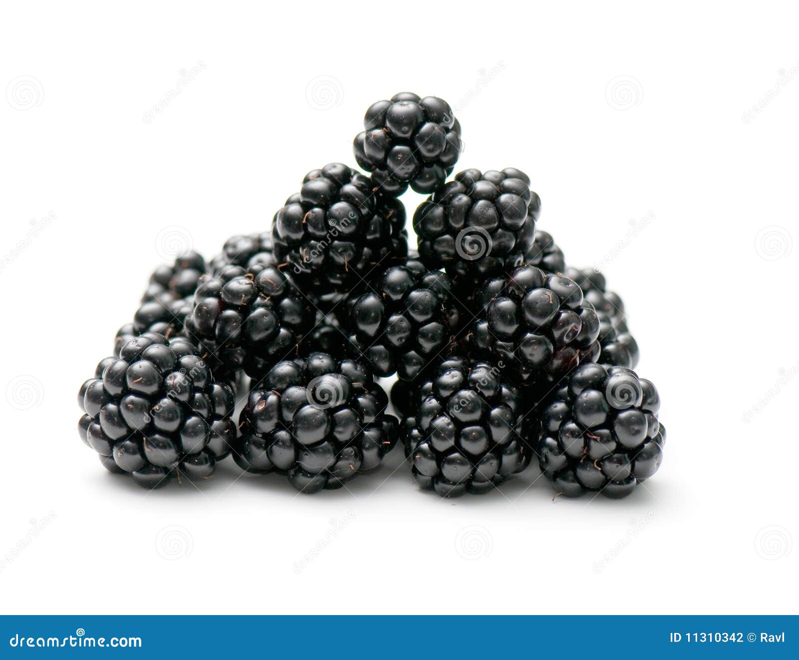 Mora fotografia stock. Immagine di sugoso, composizione - 11310342