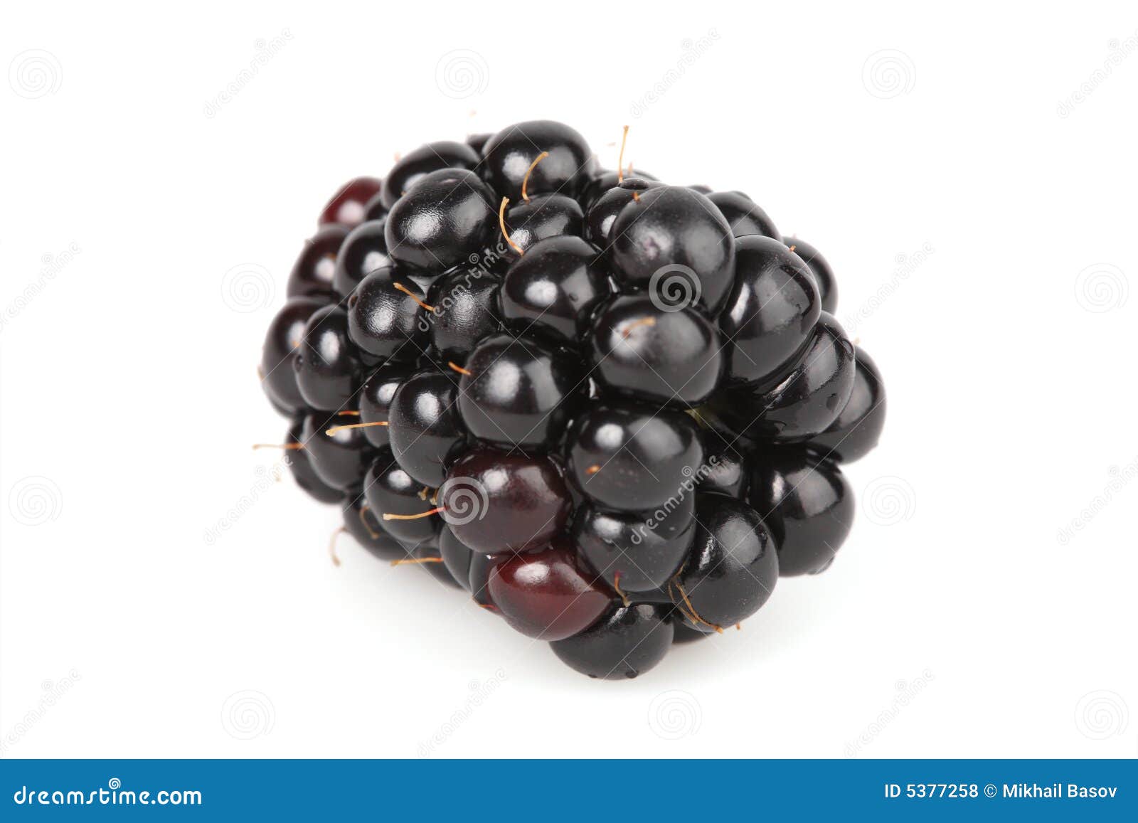 Mora fotografia stock. Immagine di stare, dolce, consumo - 5377258