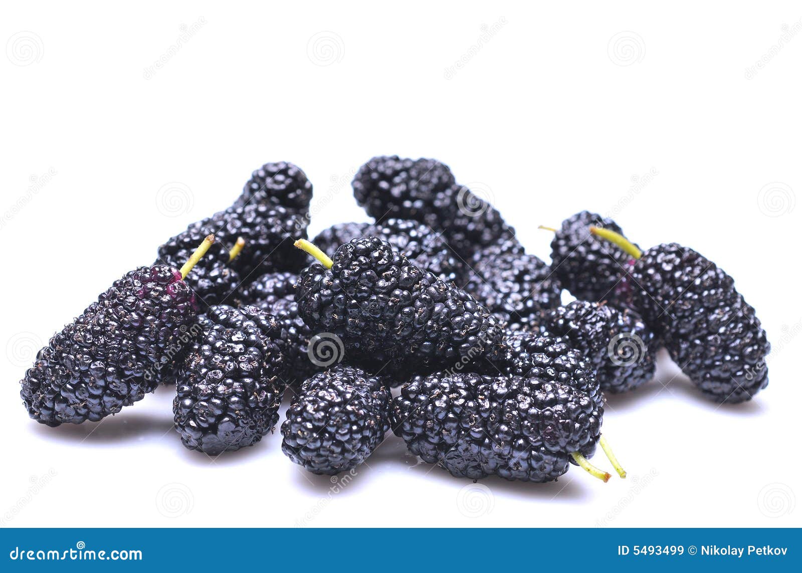 Mora imagen de archivo. Imagen de alimento, vitamina, bayas - 5493499