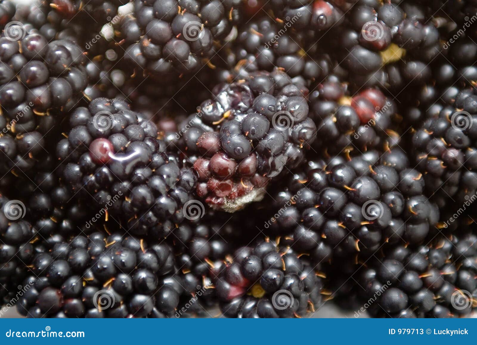 Mora immagine stock. Immagine di alimenti, aperto, salute - 979713