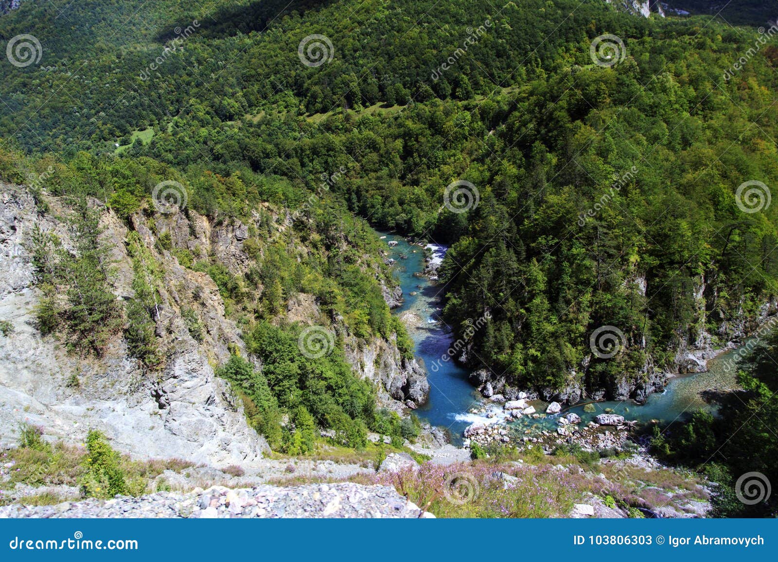 Moraca River, Montenegro stock image. Image of wood - 103806303