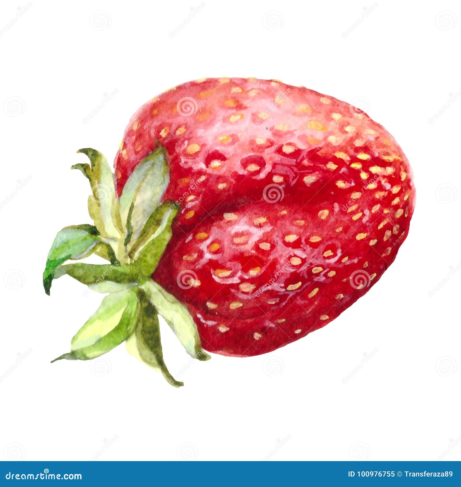 Morango Da Arte Da Aquarela Ilustração Stock - Ilustração de sobremesa ...