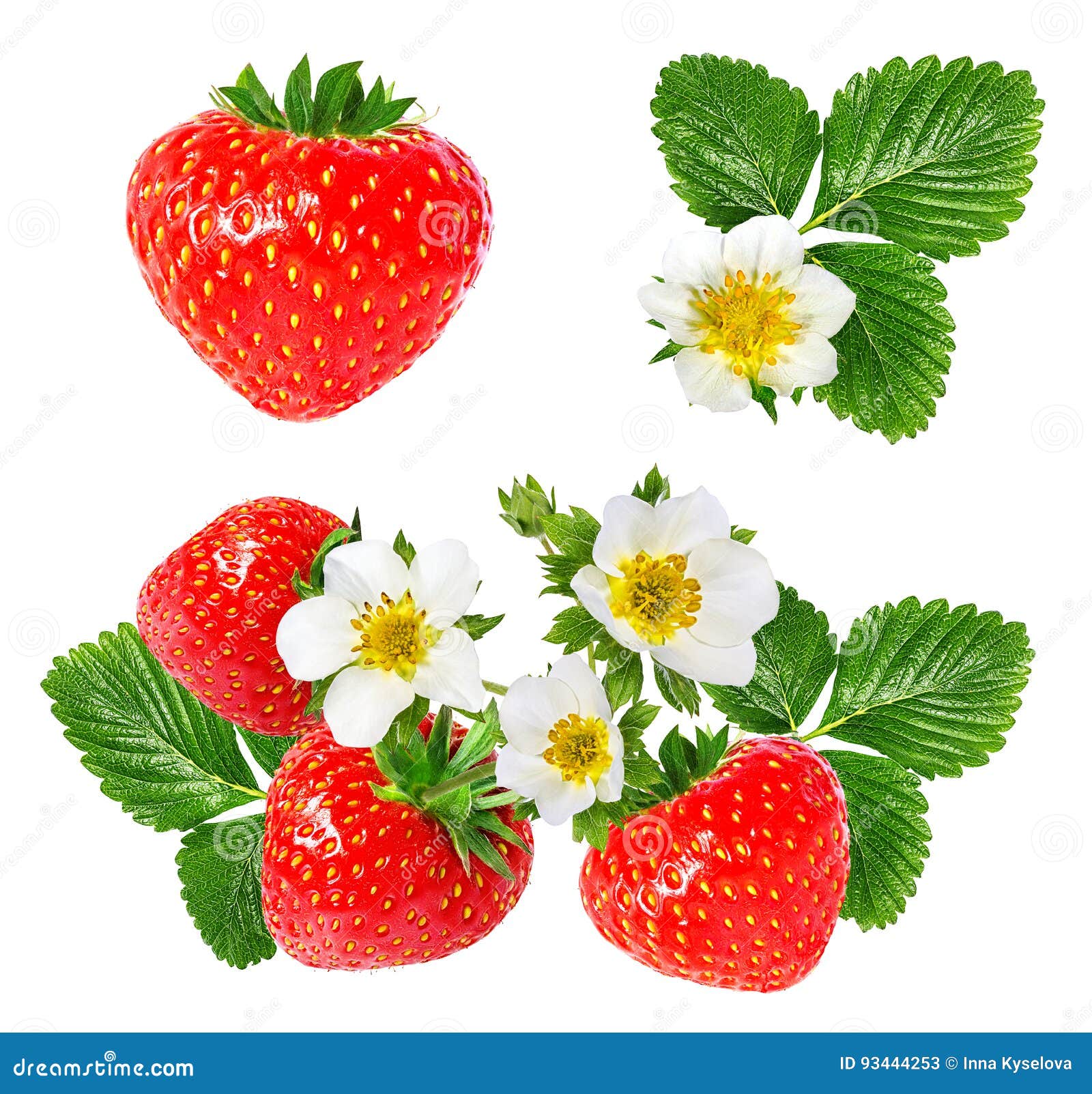 Morango E Flor Da Morango Isolada No Branco Imagem de Stock - Imagem de ...